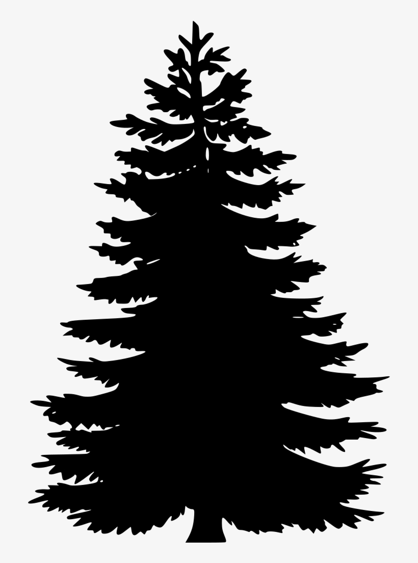 Download Png - Pine Tree Vector Png Transparent PNG - 710x1024 - Free ...