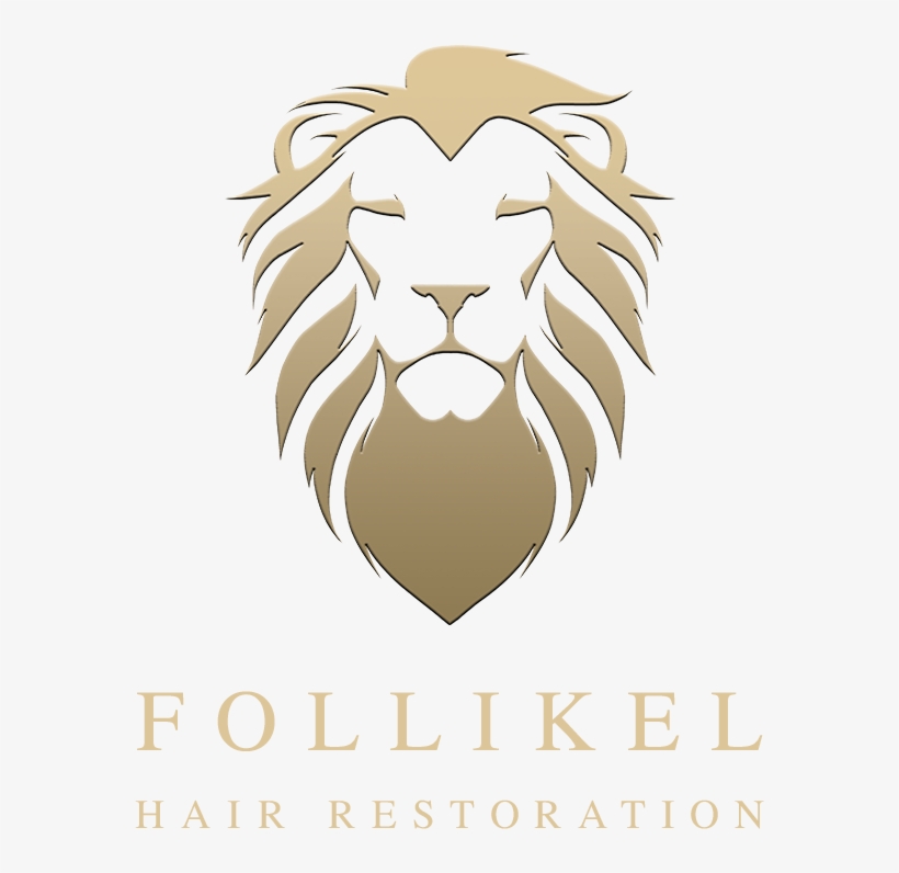 Kyani Logo Png Transparent PNG - 826x826 - Free Download on NicePNG