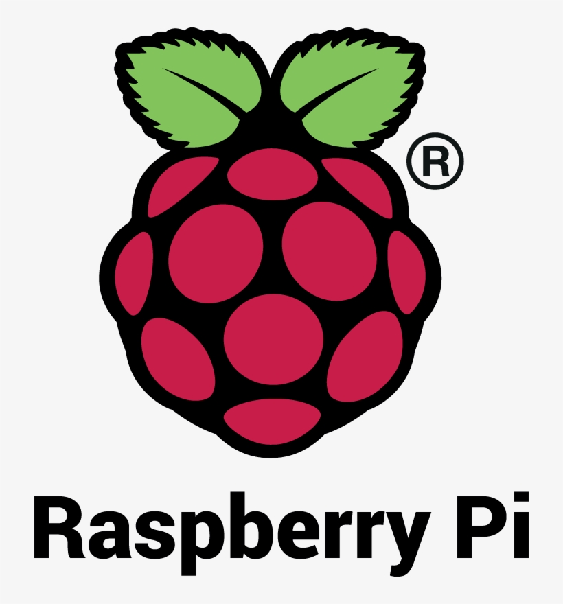 Download Raspberry Pi Logo - HD Transparent PNG - NicePNG.com