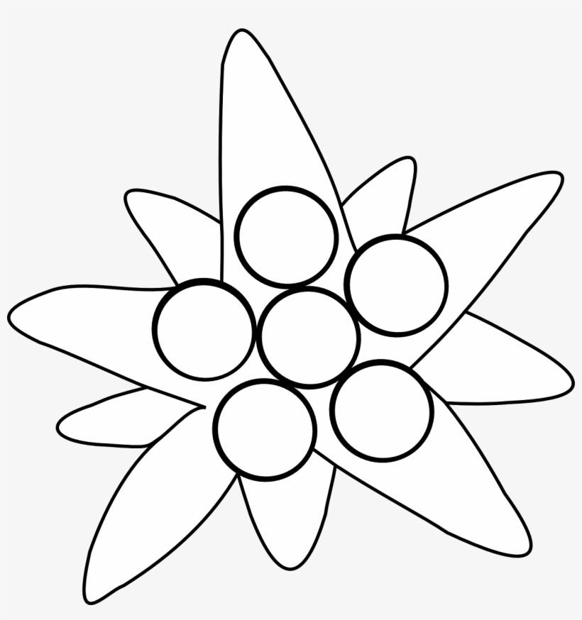 Edelweiss Png - Edelweiss Clipart Transparent PNG - 1258x1280 - Free ...