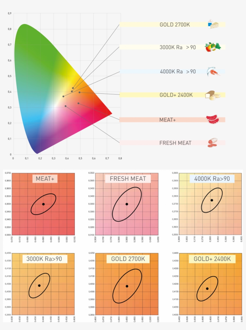 Food Lighting And Light Colourations - Diagram Transparent PNG ...