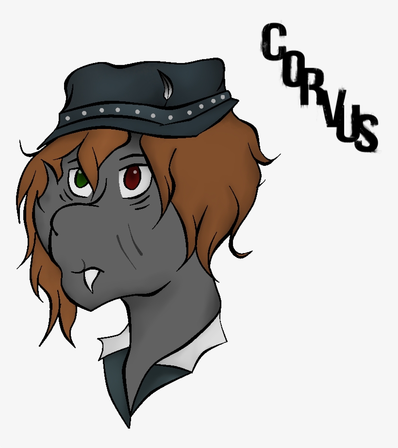 Corvus - Cartoon Transparent PNG - 1080x1080 - Free Download on NicePNG
