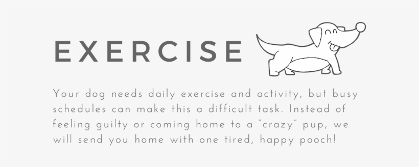 6 - Calligraphy Transparent PNG - 800x800 - Free Download on NicePNG