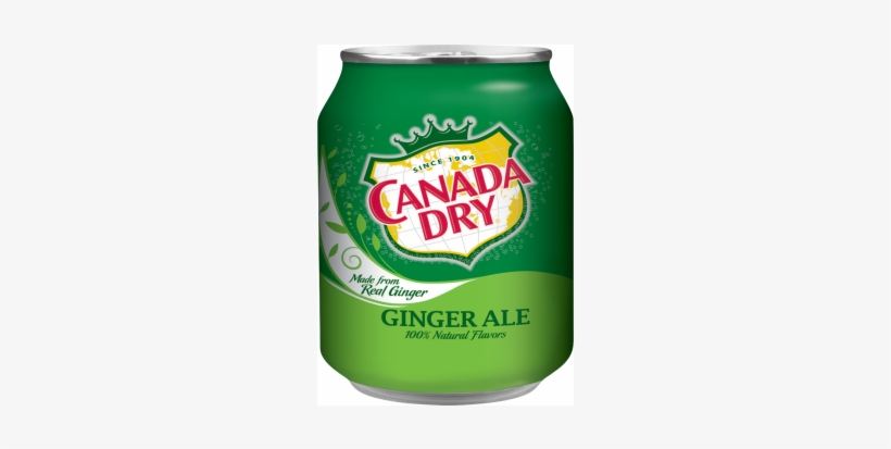 Canada Dry Ginger Ale - Canada Dry Transparent PNG - 250x500 - Free ...
