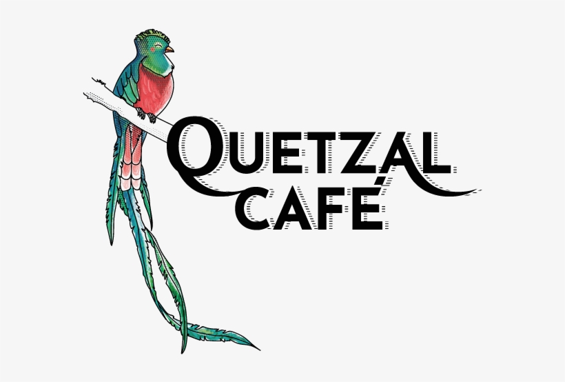 Download Quetzal Logo Web - Macaw - HD Transparent PNG - NicePNG.com