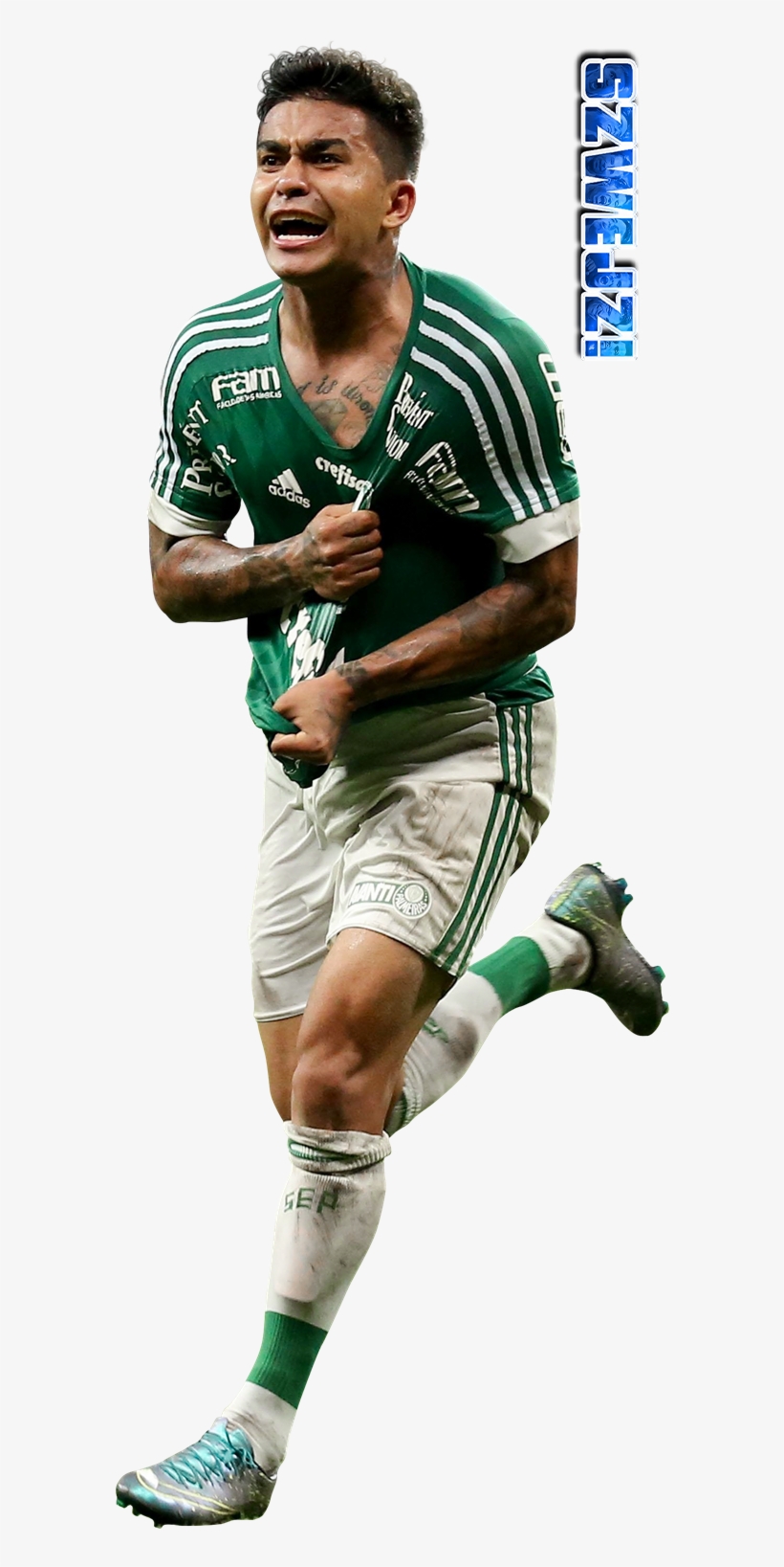 Dudu Png - Player Transparent PNG - 622x1600 - Free Download on NicePNG