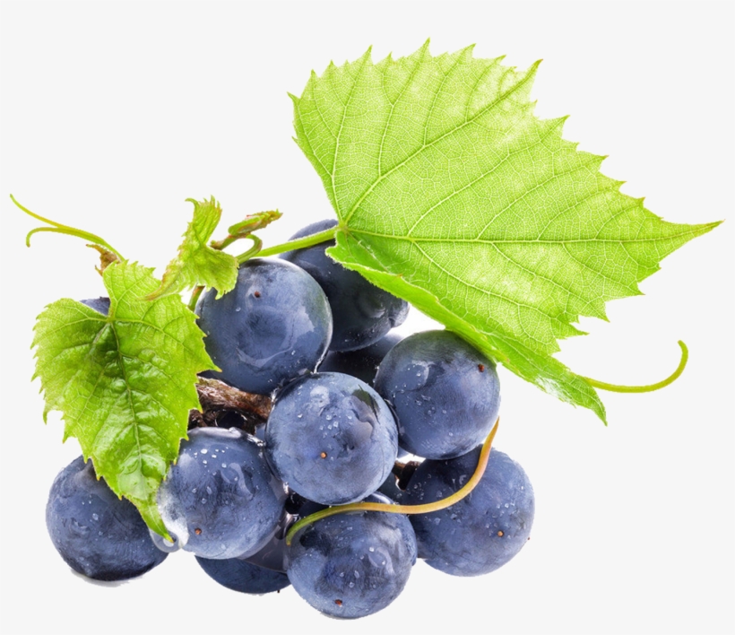 Purple Cartoon Grapes - Grape Transparent PNG - 1600x1600 - Free ...