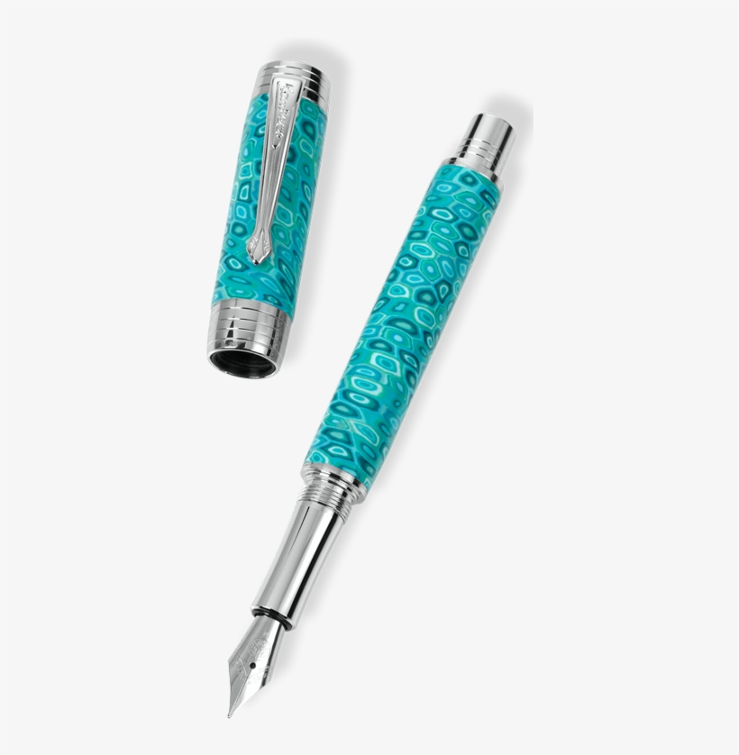 Fountain Pen - Calligraphy Transparent PNG - 1000x769 - Free Download ...