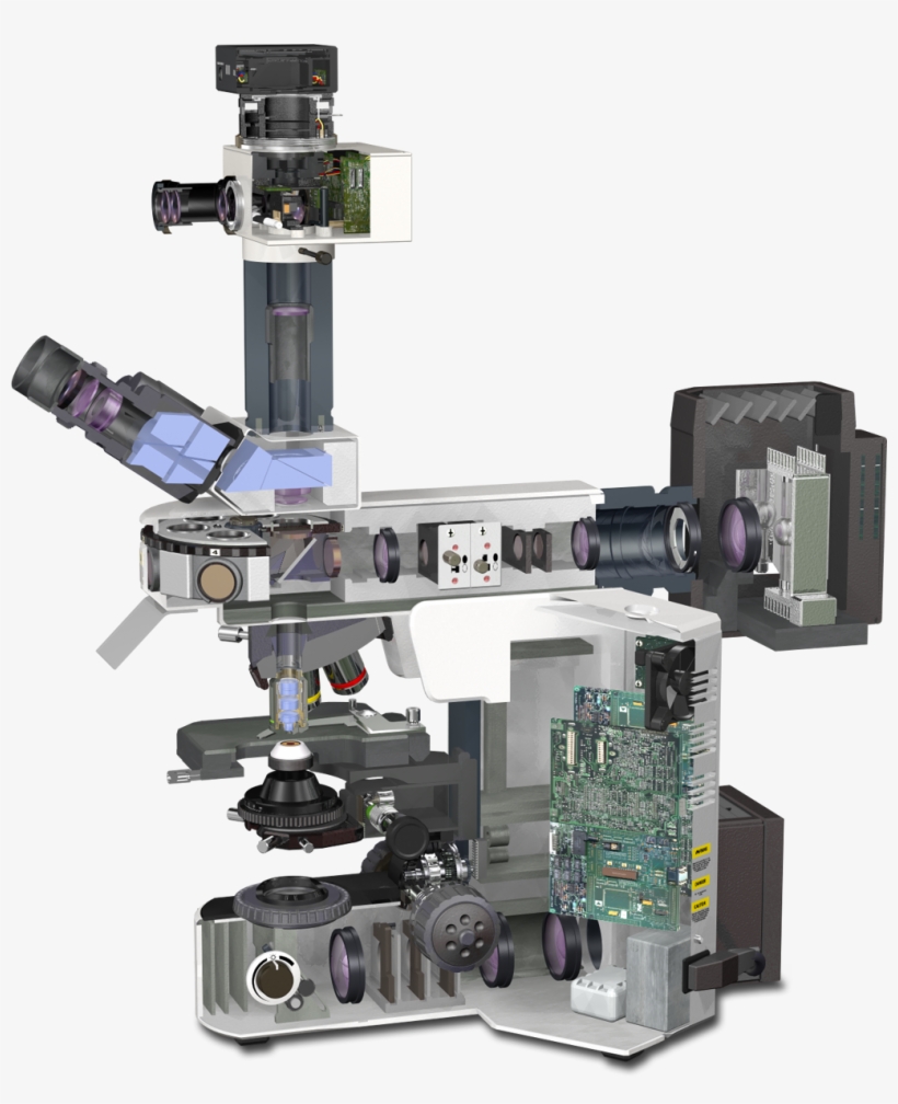 Olympus Bx51 Microscope Light - Microscope Diagram Transparent PNG ...