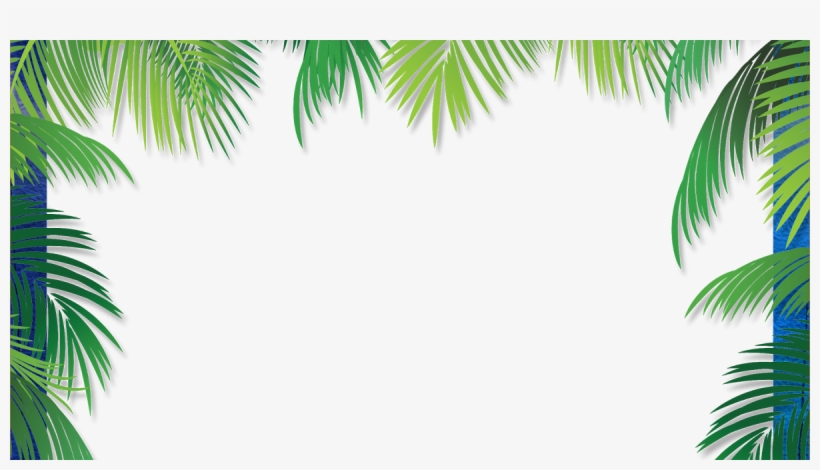 Frame Coconut Tree Png Transparent PNG - 1200x630 - Free Download on ...