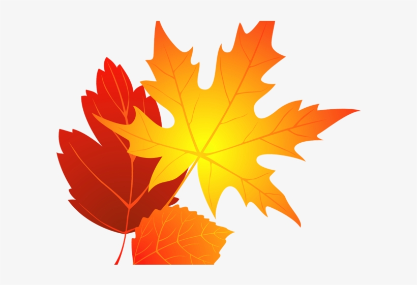 Leaves Clipart Oval Leaf - Fall Leaves Png Clipart Transparent PNG ...