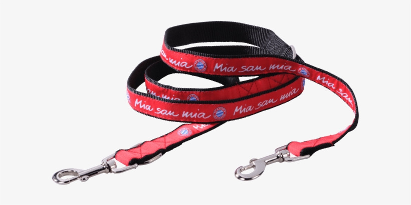 Strap Transparent PNG - 660x660 - Free Download on NicePNG