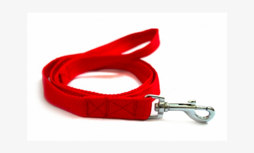Nylon Dog Leash - Strap Transparent PNG - 645x645 - Free Download on ...
