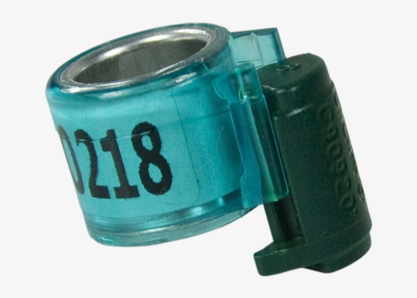 Chip - Pigeon Ring Sensor Transparent PNG - 800x522 - Free Download on ...