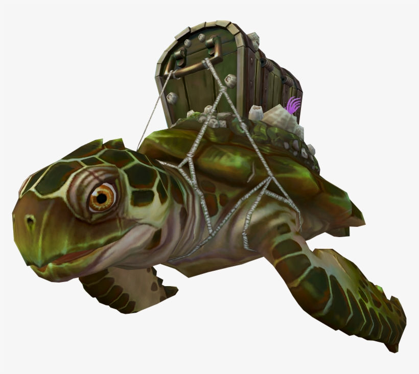 Treasure Turtle Transparent PNG - 773x652 - Free Download on NicePNG
