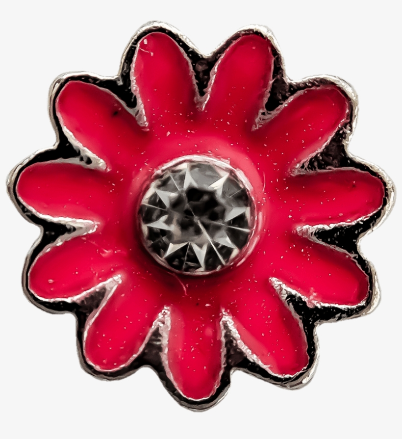 Black-eyed Susan Transparent PNG - 1475x1475 - Free Download on NicePNG