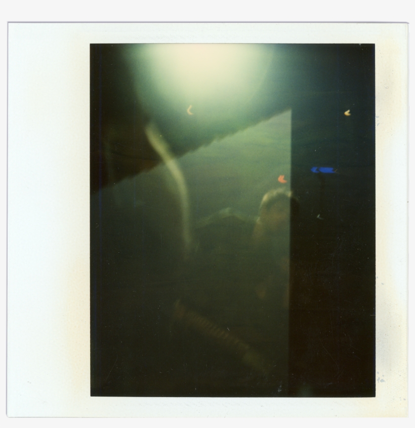 Shudder To Think Singer Craig Wedren's Polaroids Are - Photographic ...