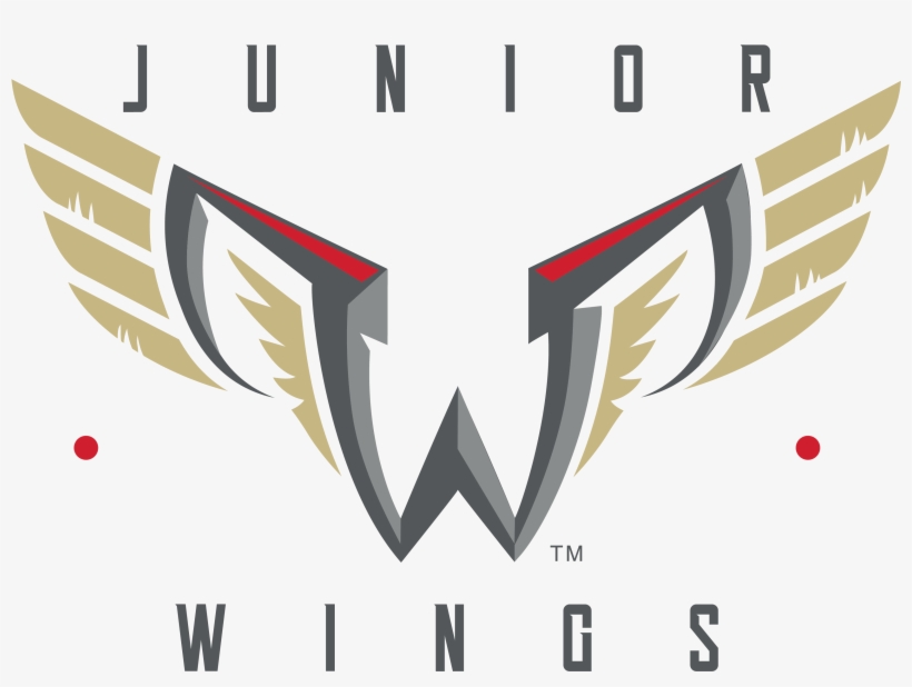 Junior Wings - Philadelphia Wings Logo Transparent PNG - 3451x3450 ...