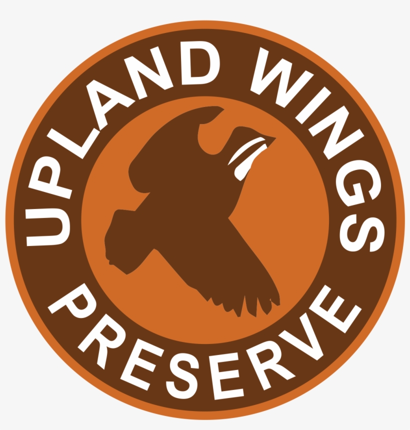 Pdf Logo Download - Main Rouge Transparent PNG - 1399x1399 - Free ...