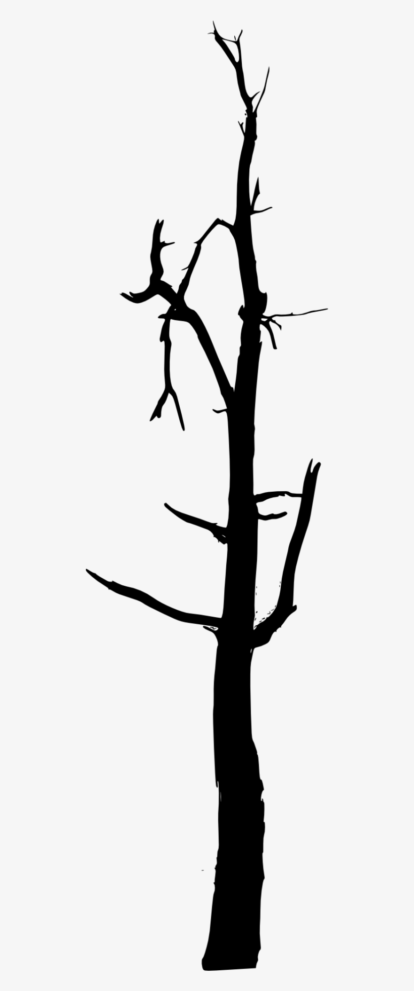 Simple Leafless Tree Outline