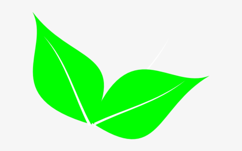 Two Leaves Clip Art At - Leaves Clipart Png Transparent PNG - 600x431 ...
