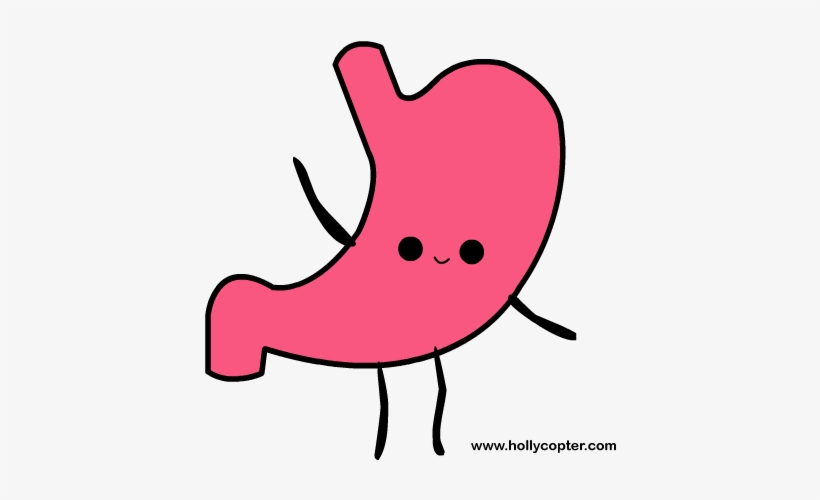 4593 Original - Cute Stomach Png Transparent PNG - 453x419 - Free ...