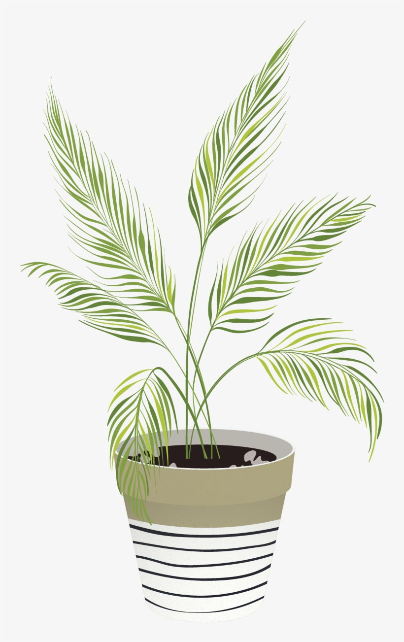Vector Indoor Plants - Houseplant Transparent PNG - 886x1537 - Free ...