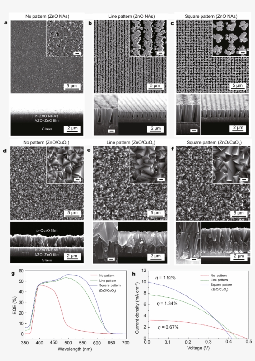 Top And Cross Sectional Sem Images Of The Zno Nas With - Monochrome ...
