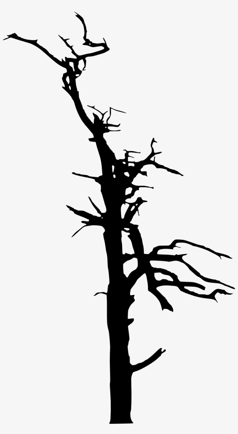 Dead Tree Silhouette Transparent Png Png Dead Trees - Silhouette ...
