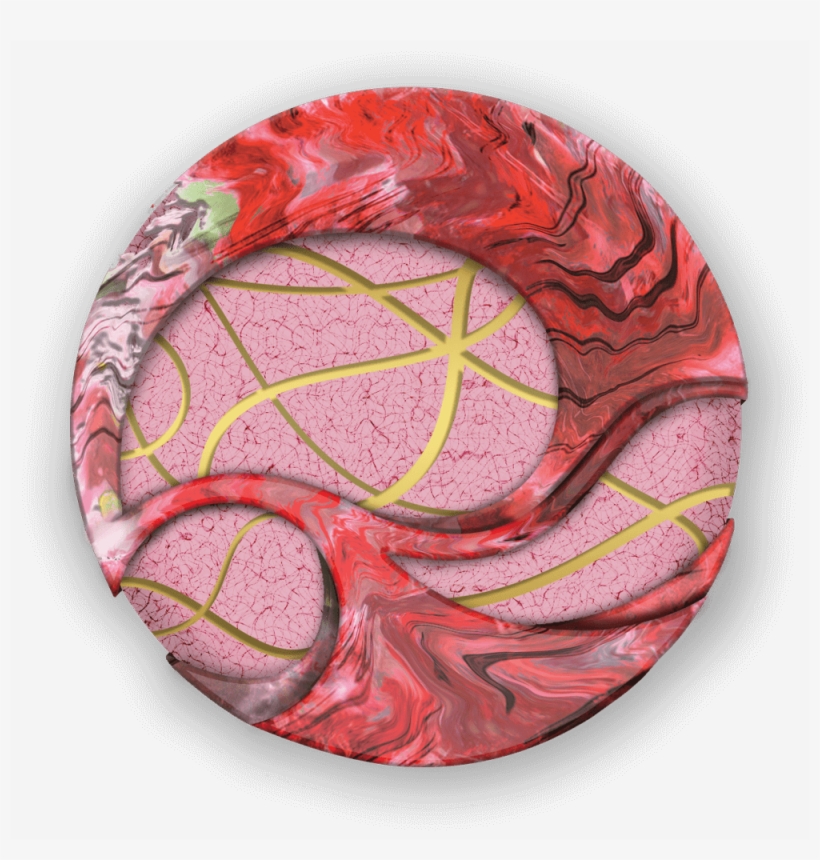 Home - Circle Transparent PNG - 1000x1000 - Free Download on NicePNG