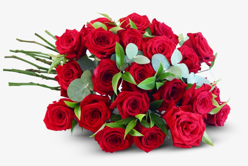 Long Stem Rose Bouquet Blooms Of Bowral Transparent PNG - 3183x2340 ...