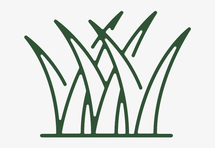 Grass Icon Transparent PNG - 637x490 - Free Download on NicePNG