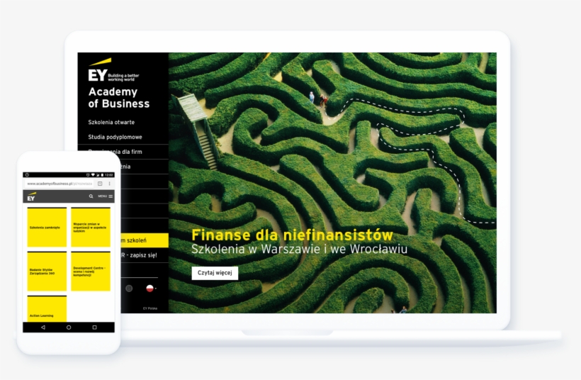 Ey - Hedge Maze Transparent PNG - 1650x880 - Free Download on NicePNG