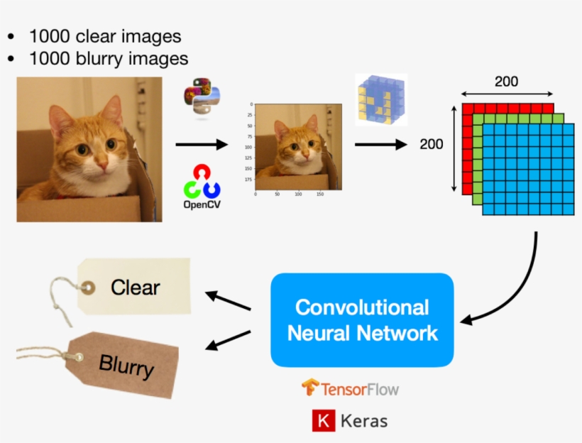 This Is A Classification Problem And The Output Result - Domestic Short ...