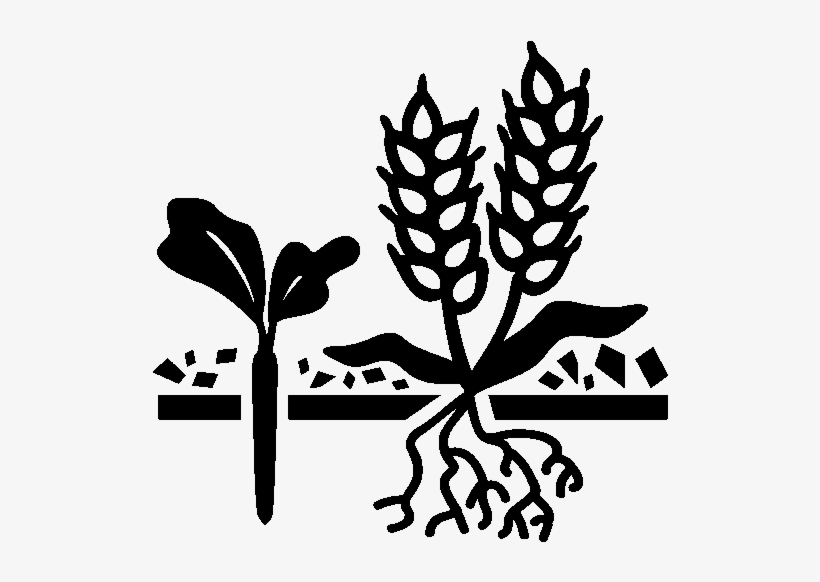 Cover Crops Icon - Logo Stencil About Soil And Water Conservation ...