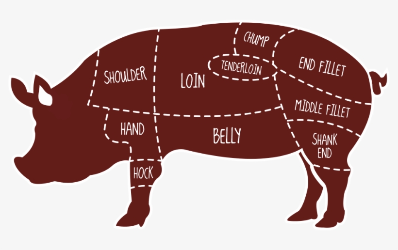 Meat Hogs Hamburger - Pig Meat Map Transparent PNG - 800x458 - Free ...
