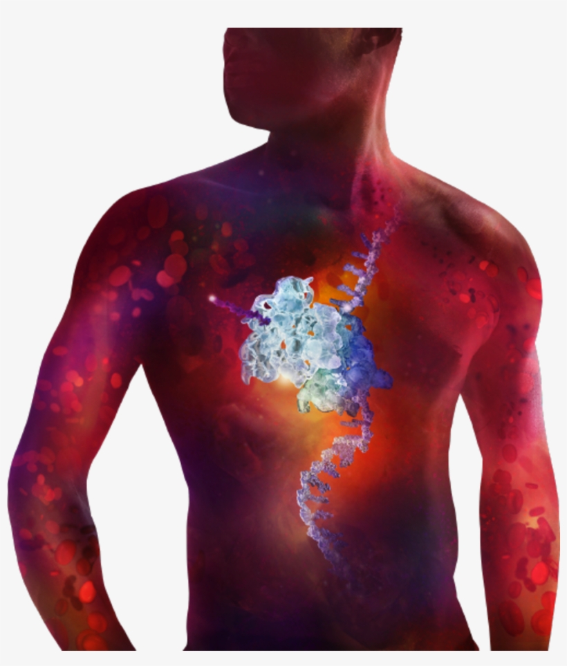 Entering A New Era In Vascular And Cardiac Regeneration ...