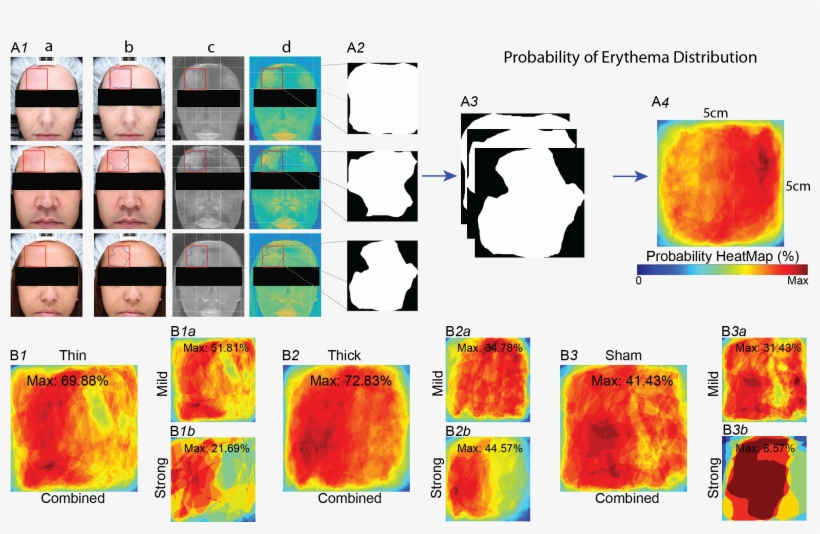 Figure Panel With Subtitle - Graphic Design Transparent PNG - 2366x1433 ...