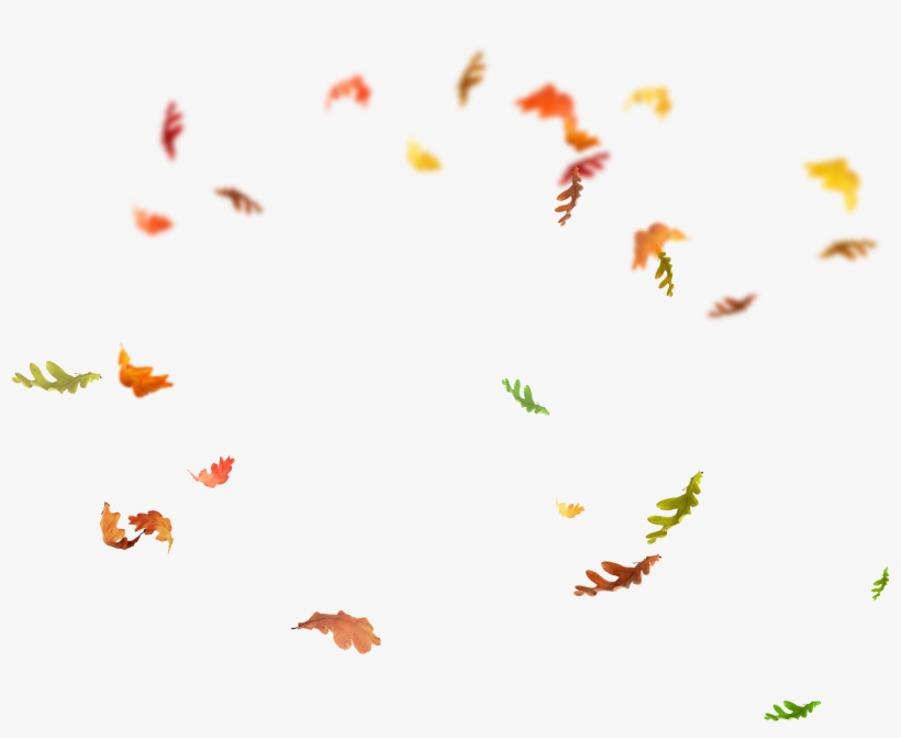 1600 X 1232 25 0 - Falling Leaves Overlay Png Transparent PNG ...