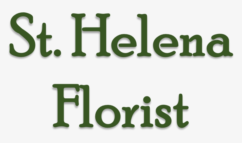 Helena Florist - Little Diva Transparent PNG - 1021x681 - Free Download ...