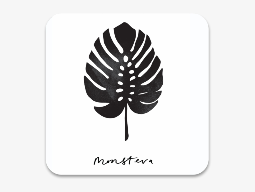 Monstera Leaf Coaster - Christmas Tree Transparent PNG - 700x700 - Free ...