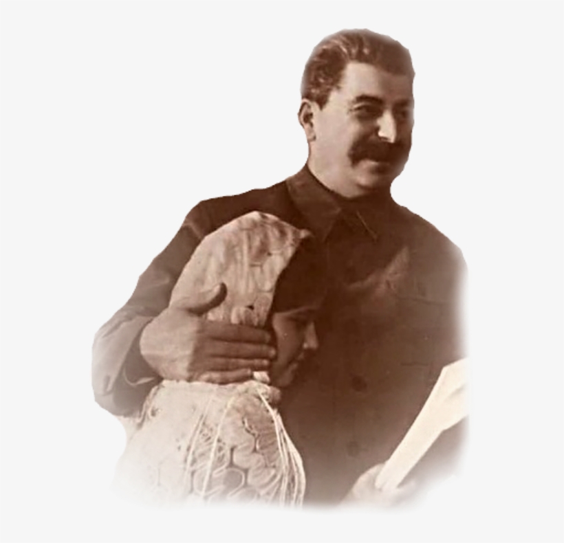 Joseph Stalin Png Transparent PNG - 572x800 - Free Download on NicePNG
