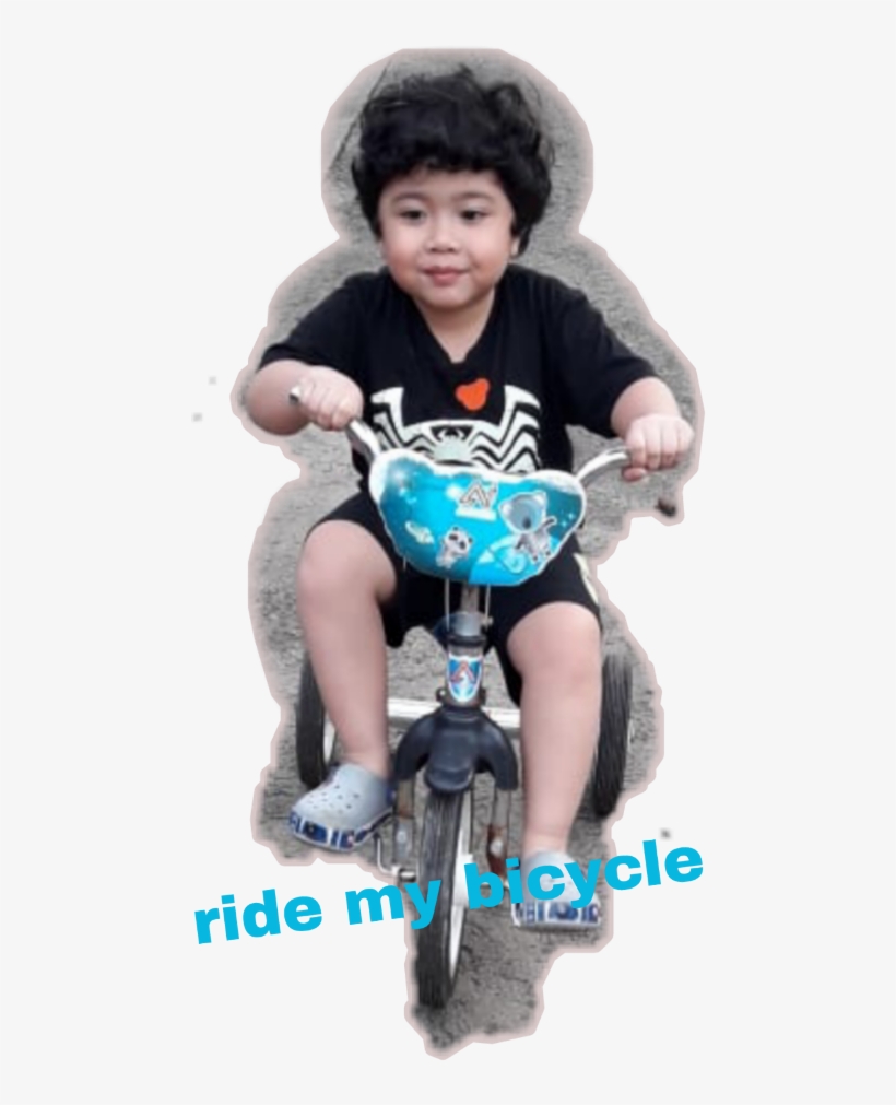 Tricycle Transparent PNG - 480x941 - Free Download on NicePNG