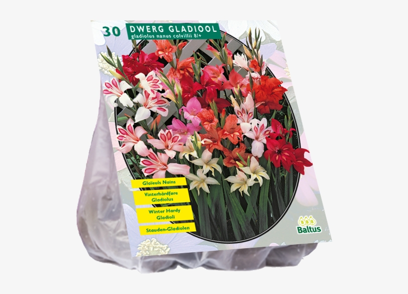 Coppertips Transparent PNG - 600x600 - Free Download on NicePNG