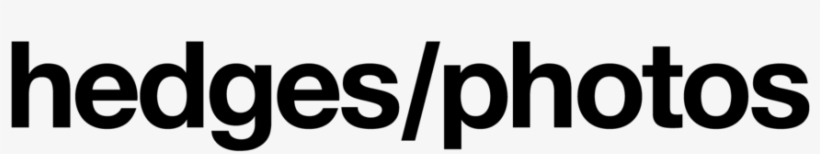 Hedges Png Transparent PNG - 1000x263 - Free Download on NicePNG