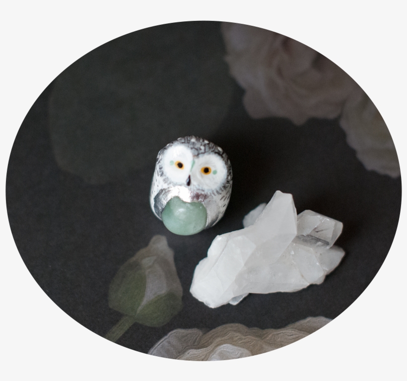 Sacred Snowy Owl Talisman Transparent PNG - 1200x800 - Free Download on ...