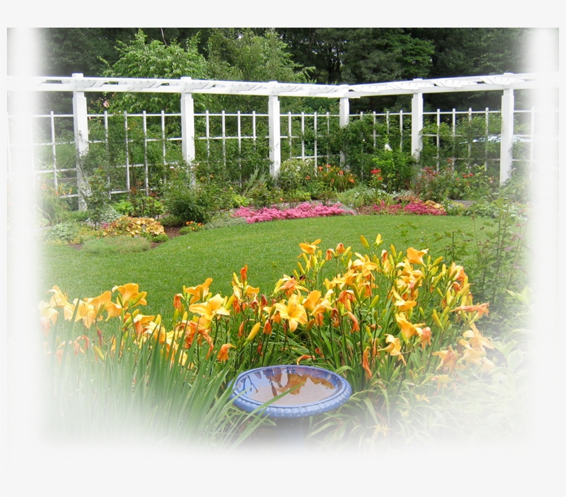 Yard Transparent PNG - 800x640 - Free Download on NicePNG