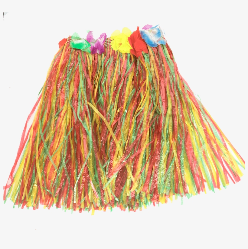 Flada Hawuaiana - Miniskirt Transparent PNG - 1000x1000 - Free Download ...