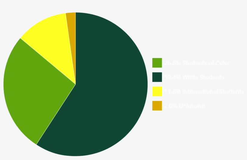 Pie Chart Of Enrollment Of Students By Ethnic Identity - Circle ...