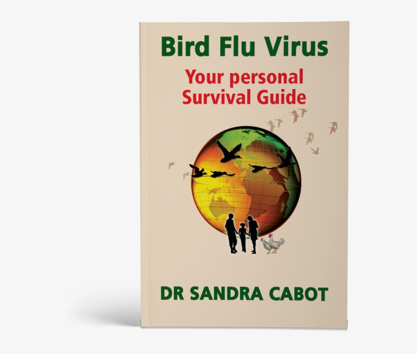 Your Personal Survival Guide - Poster Transparent PNG - 700x700 - Free ...